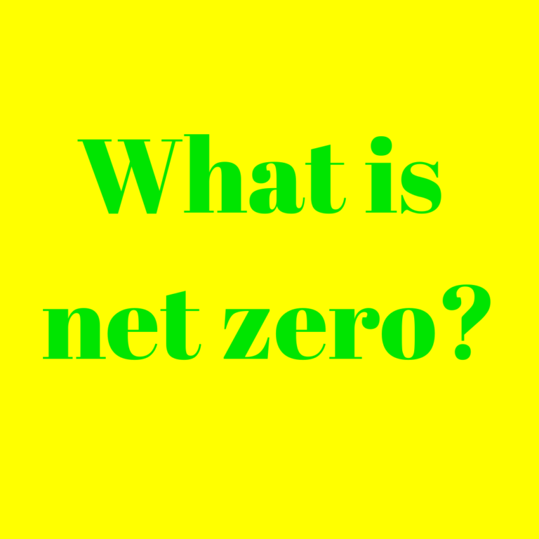When someone says ‘Net Zero,’ what do you imagine? - Write Now Berlin